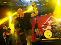 GOITZSCHE FRONT - Live-Bericht